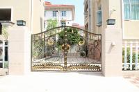 China Anti Rat Cast Iron Door Contemporary Iron Doors For Residential / School for sale