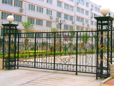 China Powder Coated Morden Iron Gate Rodent Proof , OEM Cast Iron Garden Gate for sale