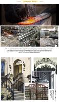 China Rot Proof Metal Wrought Iron Railing Black Powder Coated With Galvanized for sale