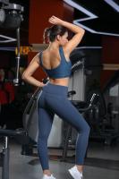 China Limited Edition Printed Sports Bra Stylish Supportive For Gym And Streetwear for sale