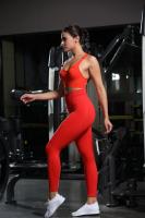 China High-Waisted Yoga Legging – Squat-Proof, Moisture-Wicking & Tummy Control for Intense Workouts for sale