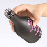China Body Material Glass 700ml 750ml Clear Matte Black Bottle for Gin Whiskey Vodka Spirit for sale