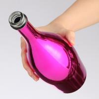 China 750ml Color Bottle of Champagne Customized Clear Green Mini Small Empty Wine Glass Bottles for sale