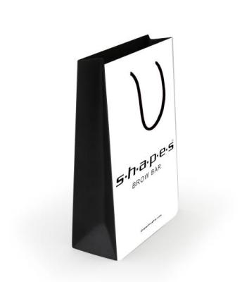 China Matte Art Paper Lamination Custom Printing Paper Shopping Bags Logo Hot Stamping with Black Color PP Rope Handle for sale