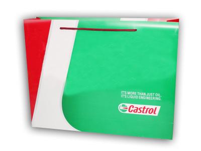 China Custom Printing Paper Bags With OPP Rope Handle , Paper Shopping Bags for sale