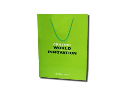 China Green Colors Custom Printing Paper Bags With Recycled Paper Bag OPP Rope Handle for sale
