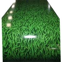 China ASTM A755M PPGI Little Grass Pattern Steel Coil 0.11-2mm Thickness 25-1500mm Width for sale