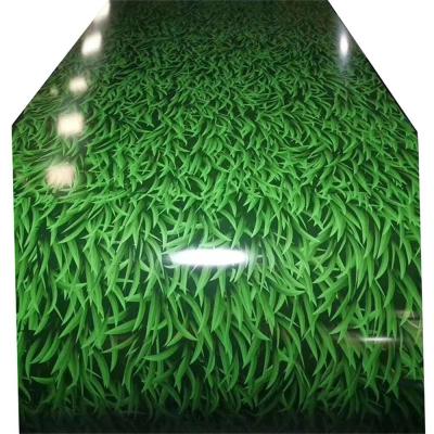 China ASTM A755M PPGI Little Grass Pattern Steel Coil 0.11-2mm Thickness 25-1500mm Width for sale