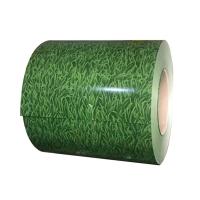 China ASTM A755M PPGI Little Grass Pattern Steel Coil 0.11-2mm Thickness 25-1500mm Width for sale