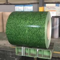 China Prime Quality Color Coated Pattern Steel Coil 10-20um Film Coating for Construction for sale
