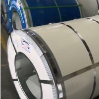 China Ral 9003 PPGI Galvanized Coil Coated Steel 0.3-2.0mm for Building Insulation for sale