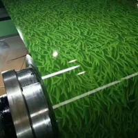 China PPGI Color Coated Steel Coil 5-7 Micron Back Coating Zinc Coated Paint for sale