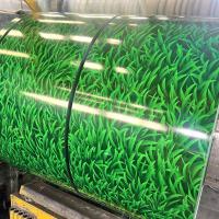 China Prime Quality Color Coated Pattern Steel Coil 10-20um Film Coating for Construction for sale