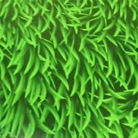 China Prime Quality Color Coated Pattern Steel Coil 10-20um Film Coating for Construction for sale