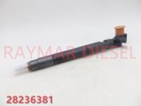 China Delph i Genuine Common Rail Injector 28236381 for HYUNDAI Starex 33800-4A700 for sale