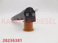 China Delph i Genuine Common Rail Injector 28236381 for HYUNDAI Starex 33800-4A700 for sale