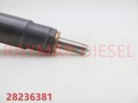 China Delph i Genuine Common Rail Injector 28236381 for HYUNDAI Starex 33800-4A700 for sale