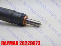 China Delph i Genuine & New Common Rail Injector 28229873 for HYUNDA & KIA 33800-4A710 for sale