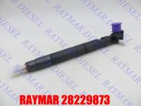 China Delph i Genuine & New Common Rail Injector 28229873 for HYUNDA & KIA 33800-4A710 for sale