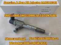 China Genuine & New Common Rail Injector 0445110313 0445110445 0445110446 for FOTON 4JB1 for sale