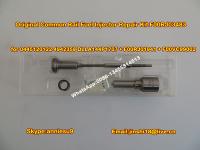 China Original Common Rail Fuel Injector Repair Kit F00RJ03483 for 0445120122 4942359 DLLA for sale