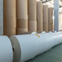 China Waterproof PE Coated Paper Roll with Customized Printing and 190-320 gsm for Disposable Food Containers for sale