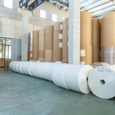 China Waterproof PE Coated Paper with 190-320gsm Base Paper Ideal for Food Packaging and Printing for sale