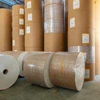 China Waterproof PE Coated Paper with 190-320gsm Base Paper Ideal for Food Packaging and Printing for sale