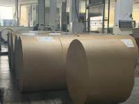 China Waterproof PE Coated Paper Roll with Customized Printing and 190-320 gsm for Paper Cup Base Paper for sale