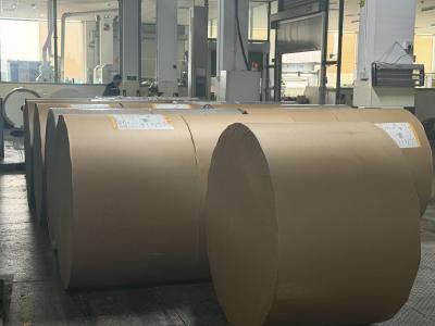 China Waterproof PE Coated Paper Roll with Customized Printing and 190-320 gsm for Paper Cup Base Paper for sale