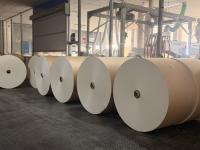 China Waterproof PE Coated Paper Roll with Customized Printing and 190-320 gsm for Disposable Food Containers for sale