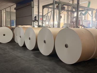 China Waterproof PE Coated Paper Roll with Customized Printing and 190-320 gsm for Disposable Food Containers for sale