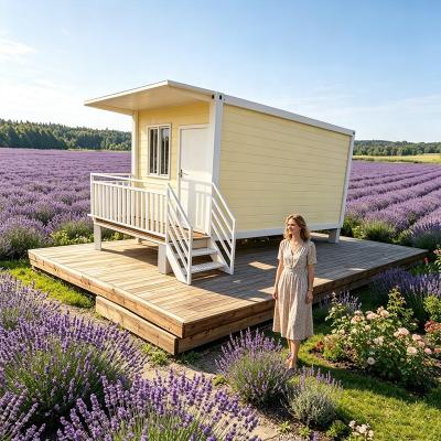 China 10&20ft Design Modular Flat Pack Container House Low Detachable Windproof Fireproof Prefabricated Breathable for Dining Hotel for sale