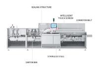 China 40-50 Boxes/Minute Carton Box Packing Machine For Hamburger Food Vegetables Golves for sale