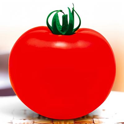 China Hongrui Big Fruit F1 Hybrid Red Indeterminate Tomato Seeds Medium Hardness T43 for sale