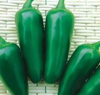 China Bullet Virus Resistant Bulk Hybrid Hot Pepper Seeds Mid Early Maturity For Planting P10 for sale