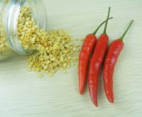 China Rocket Fascicular Grow Chili Pepper Seeds High Yield Upright Hybrid Red Chilli Seeds P17 for sale
