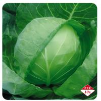 China YR Green Pearl 55 Days Round Hybrid Cabbage Seeds , Hybrid Vegetable Seeds C02 for sale