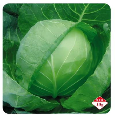 China YR Green Pearl 55 Days Round Hybrid Cabbage Seeds , Hybrid Vegetable Seeds C02 for sale