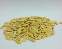 China SM26 Agrich Yellow Sweet Melon Seeds , F1 Hybrid Musk Melon Seeds for sale