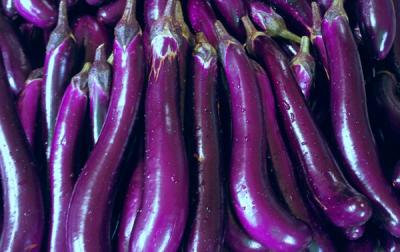 China Angel Purple High Yield F1 Hybrid Long Eggplant Seeds For Agriculture E01 for sale