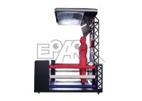 China Fashion Punching Boxing Machine Performance Electronic Boxing Game Machine AR Ultimate for sale