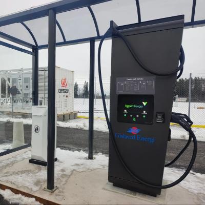 China BESS Electric Car Charging Station AC 380V/480V with LCD Screen and OCPP 2.0 Upgrade Capability for sale