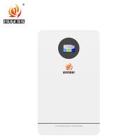 China 51.2V 200Ah LiFePO4 Wall-Mounted Solar Storage Battery 10.24kWh Home Power System for sale