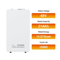 China Intelligent BMS Home Energy Storage All in One Battery Pack 48V 15kWh 314Ah for sale