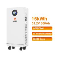 China Home Lithium Storage Power 15.36kWh with Built-in Wheels Easy Setup Remote Monitoring Stable for sale