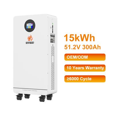China Portable Home Storage System 300Ah 15.36kWh with Wheels Touch Screen Wide Temperature Stable for sale