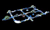 China 65x38 Meter  Inflatable Floating Water Park Games Inflatable Fun Aqua Park Equipment for sale