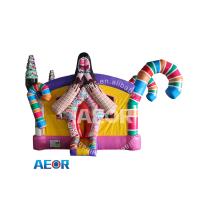 China Commercial Grade PVC Kids Bounce House Inflatable Jumping Castle for sale