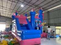 China 5x4m Inflatable Combo Bouncer Commercial Dry Slide Combo Bouncy Frozen Jumping Castle for sale